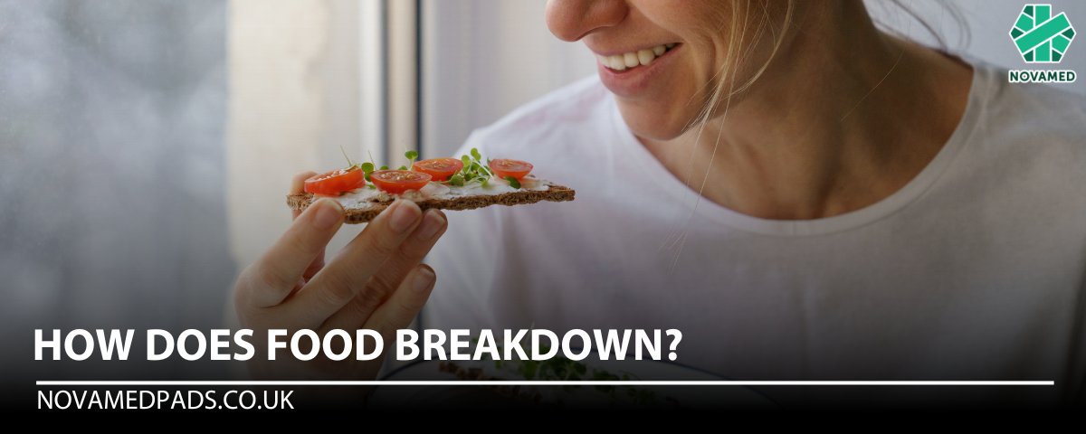 How Does Food Breakdown | Novamed Pads