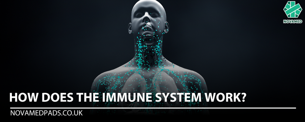 How does the immune system work | Novamed Pads